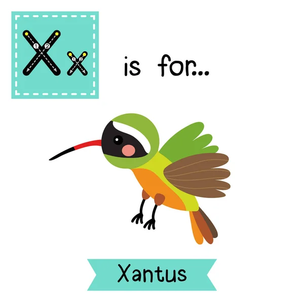 Xantus