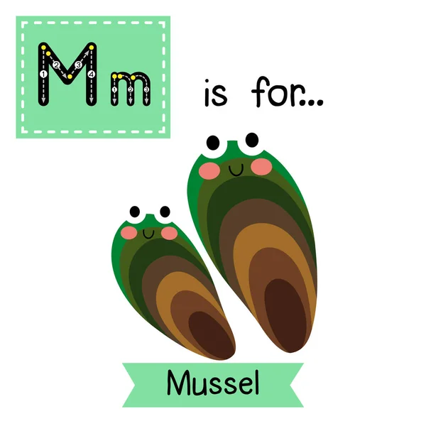 Cute Children Abc Alphabet Letter Tracing Flashcard Green Liquid ...