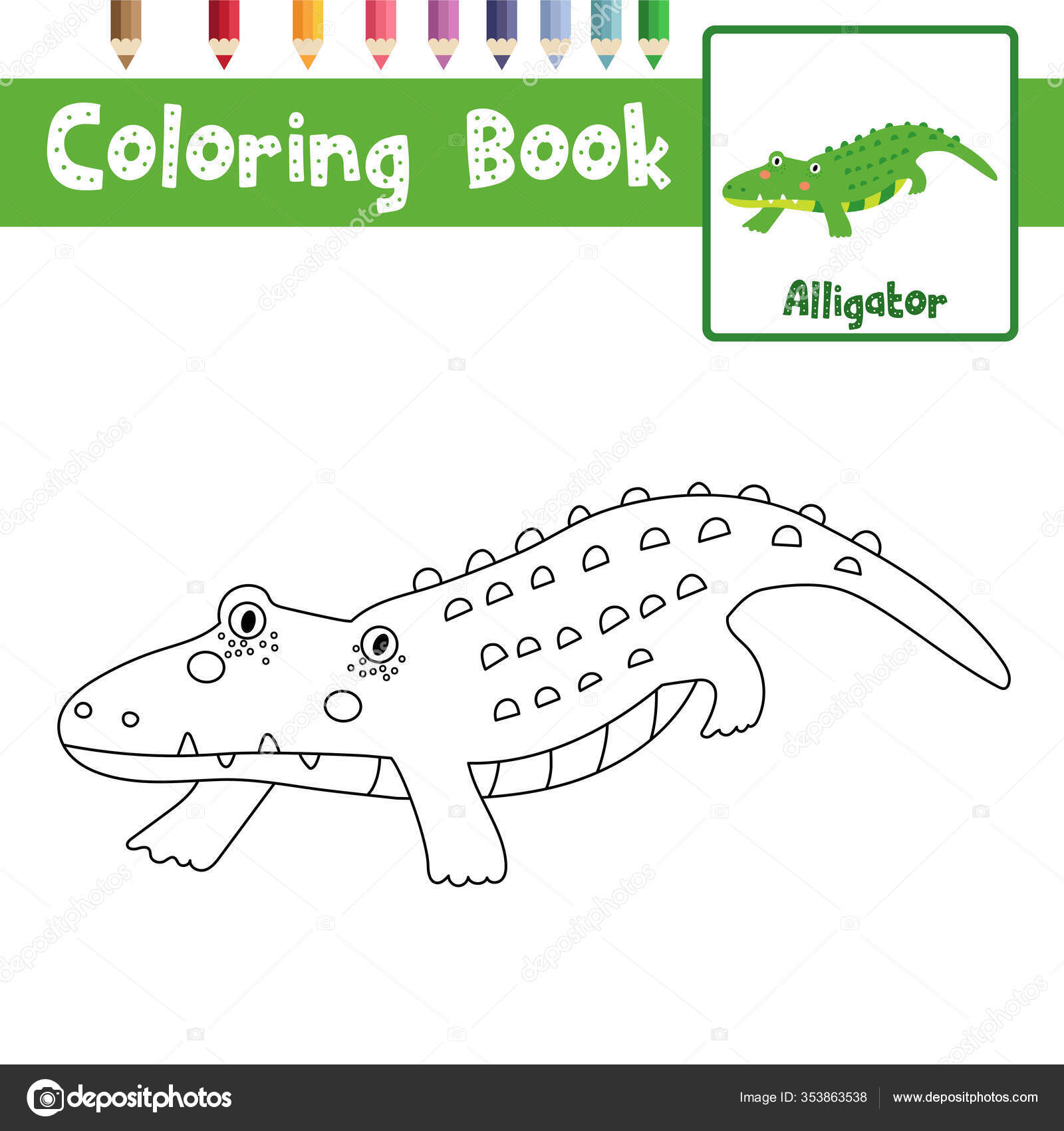 Alligator Coloring Pages Preschool