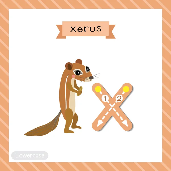 234 Xerus Vector Images | Depositphotos