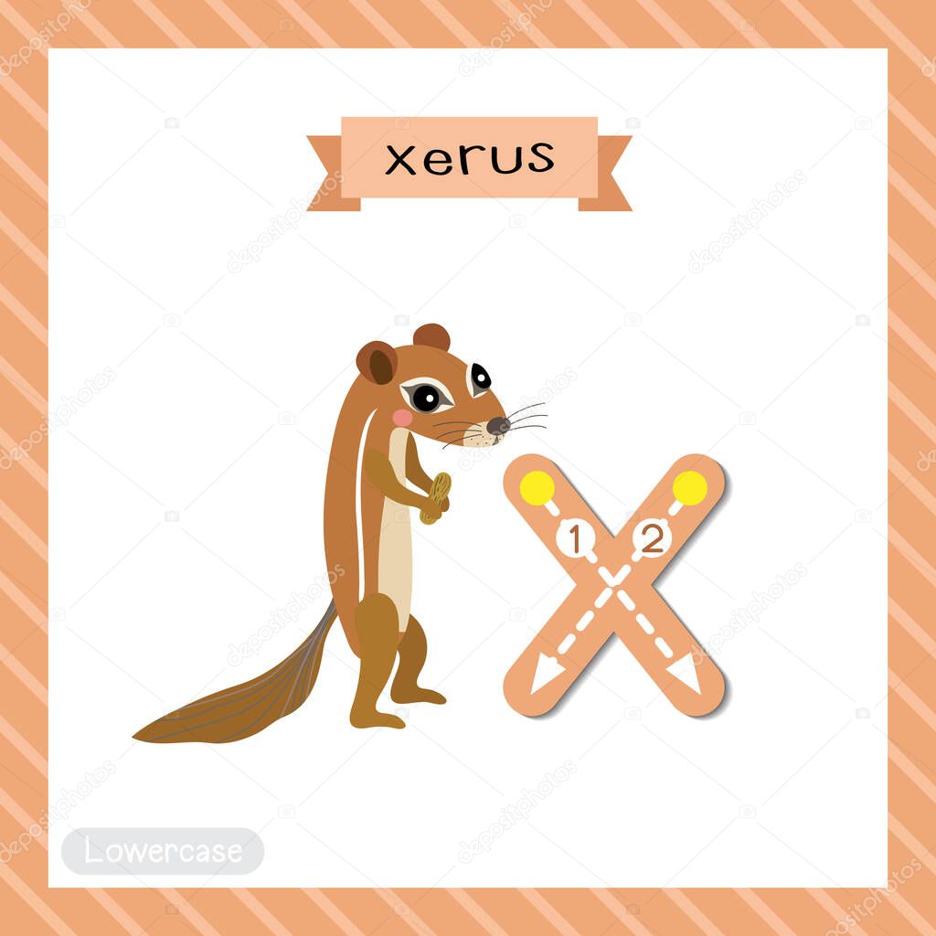 Letra X minúsculas lindos niños colorido zoológico y animales ABC ...