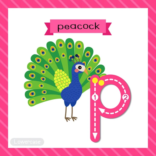 Peacock clip art Vector Art Stock Images | Depositphotos