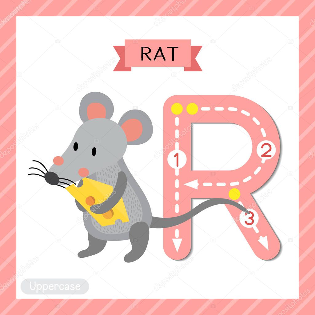 Letra R mayúsculas lindos niños colorido zoológico y animales ABC ...