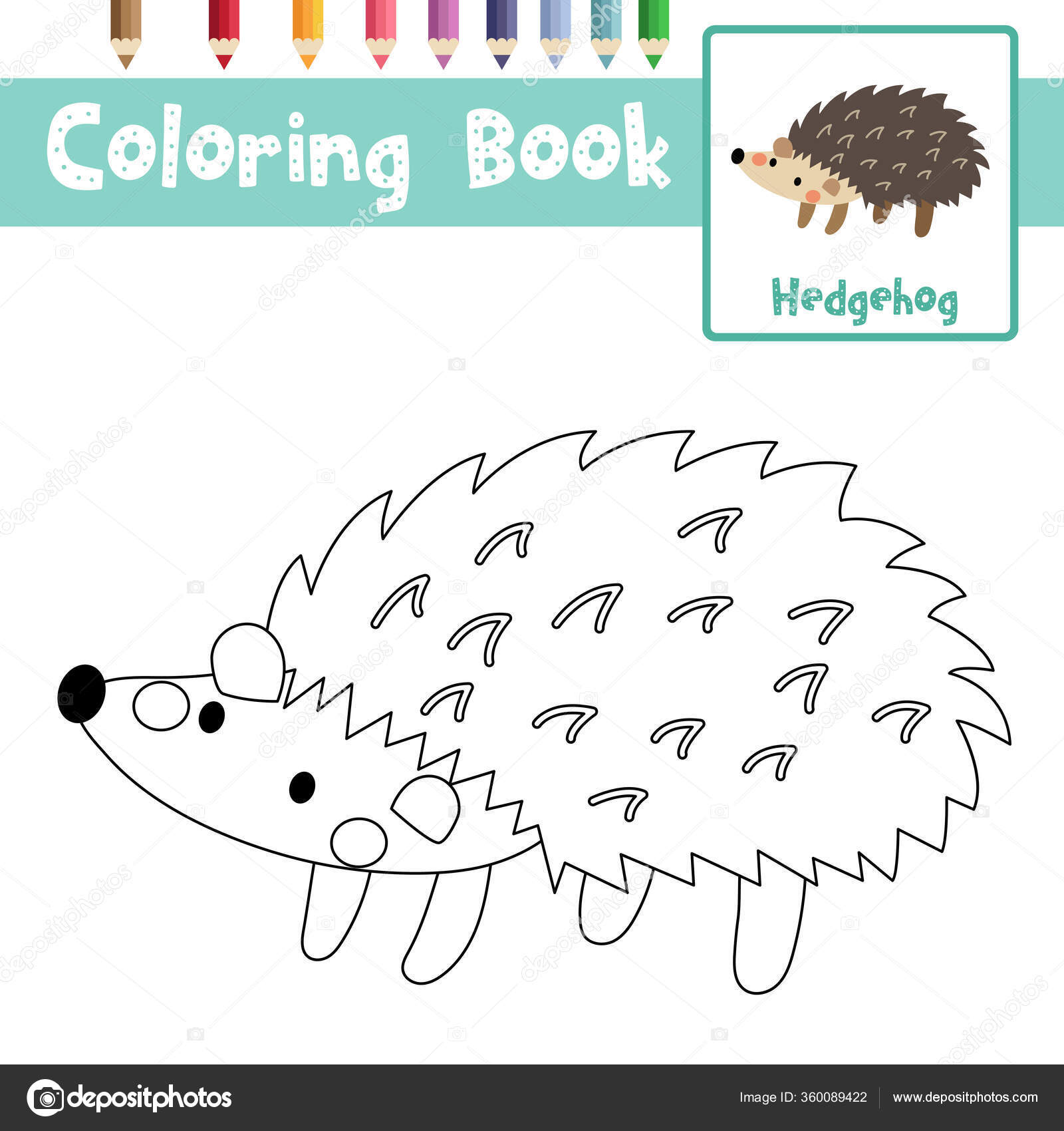 Coloring Page Hedgehog Animals Cartoon Character Preschool Kids ...