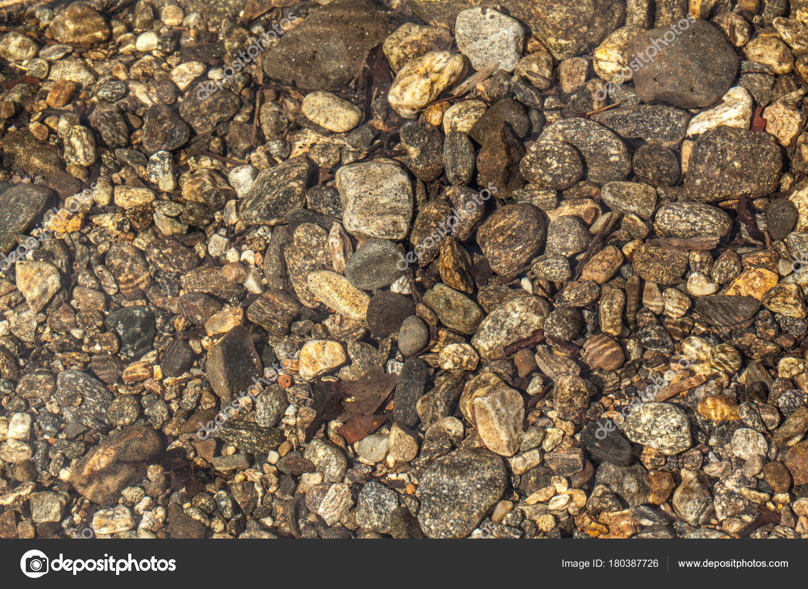 River Bottom Texture