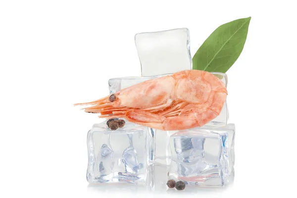 Frozen shrimp on ice Stock Photos, Royalty Free Frozen shrimp on ice ...