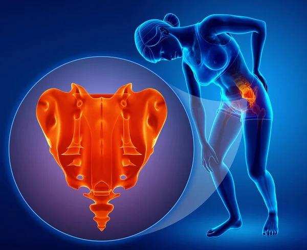 3d ilustración del dolor óseo sacro 2023