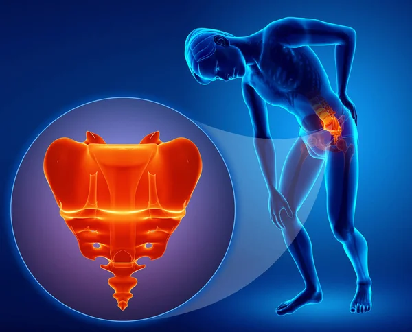 3d ilustración del dolor óseo sacro 2023