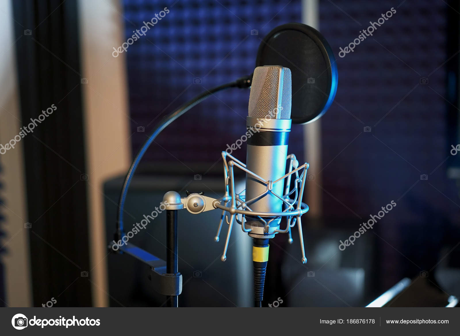 Professional microphone in the recording studio. Musical Concept ...