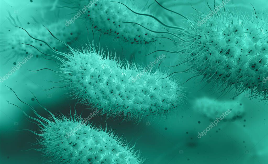 Microorganismos bajo el microscopio. Microbios, gérmenes, bacterias, virus, infección, bacilos ...