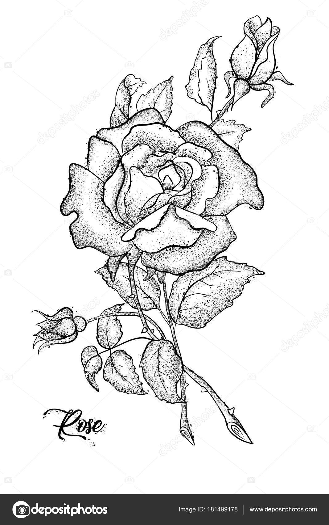 How To Draw A Flower On Etch Sketch | Best Flower Site