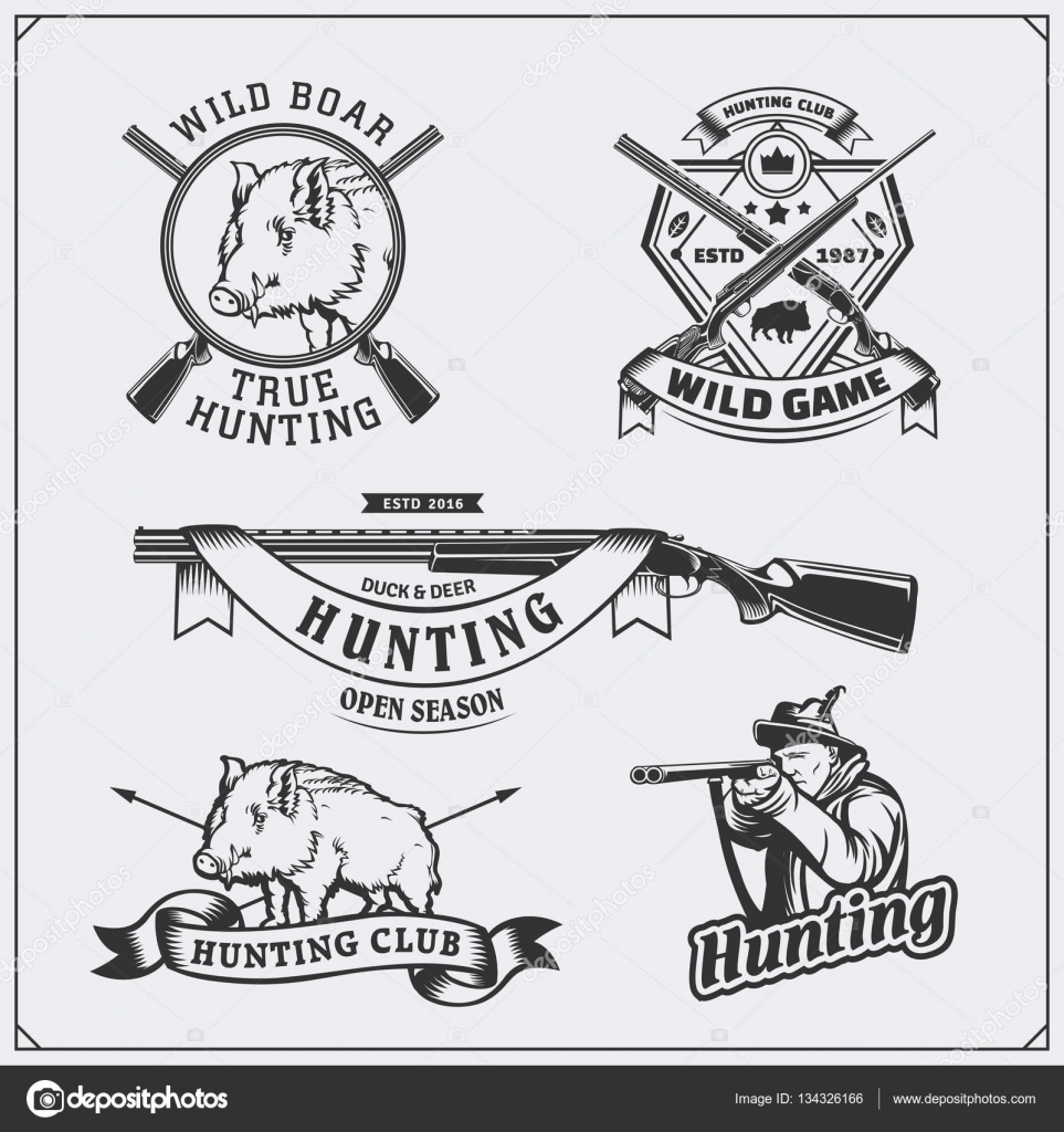 Set of vintage hunting wild boar labels, badges, emblems and design ...