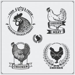 18,135 Chicken cartoon Vector Images | Depositphotos