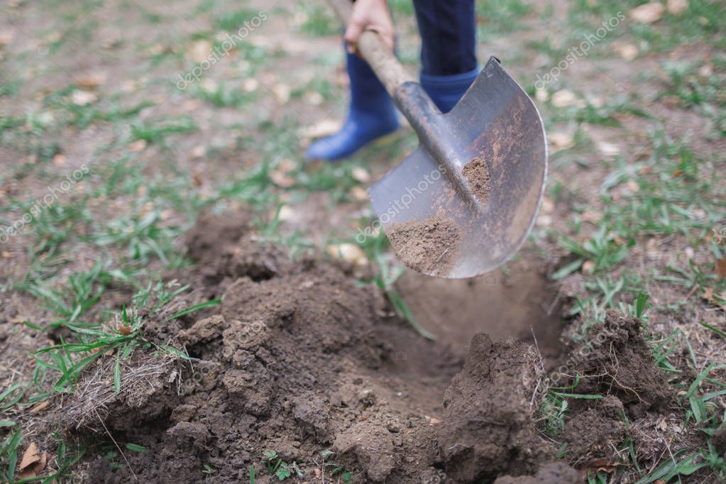 El hombre cava una pala en el jardín, el trabajo agrícola, la ...
