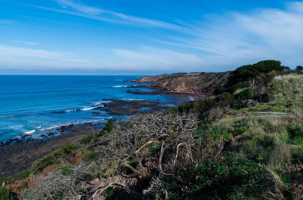 Bass strait Stock Photos, Royalty Free Bass strait Images | Depositphotos®