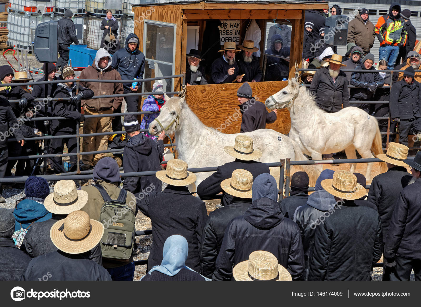 An Amish Auctioneer and Volunteers Sell Horses at the Annual Spring ...