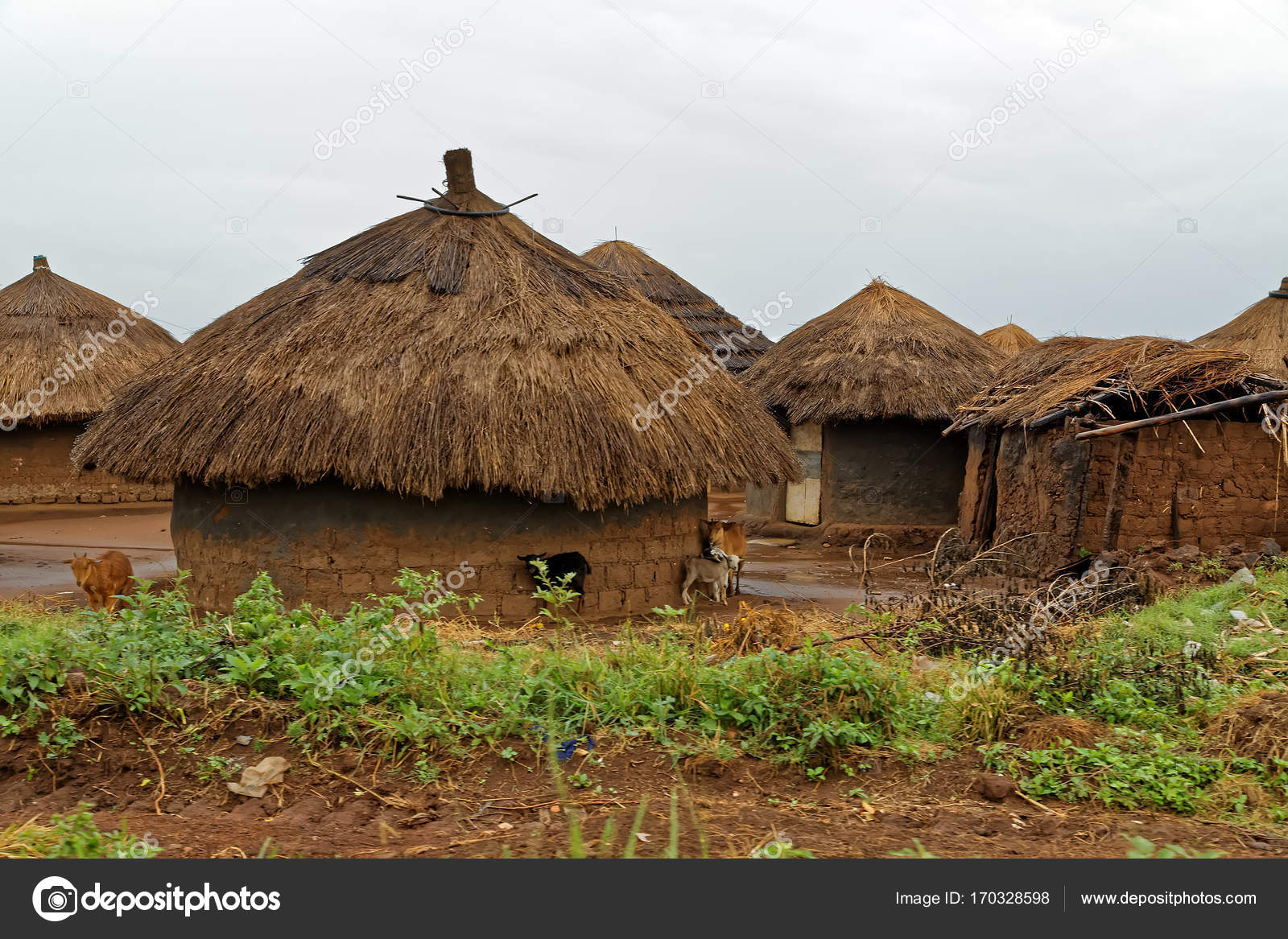 Afrikanische Hütten an einem Regentag in Uganda - Stockfotografie ...