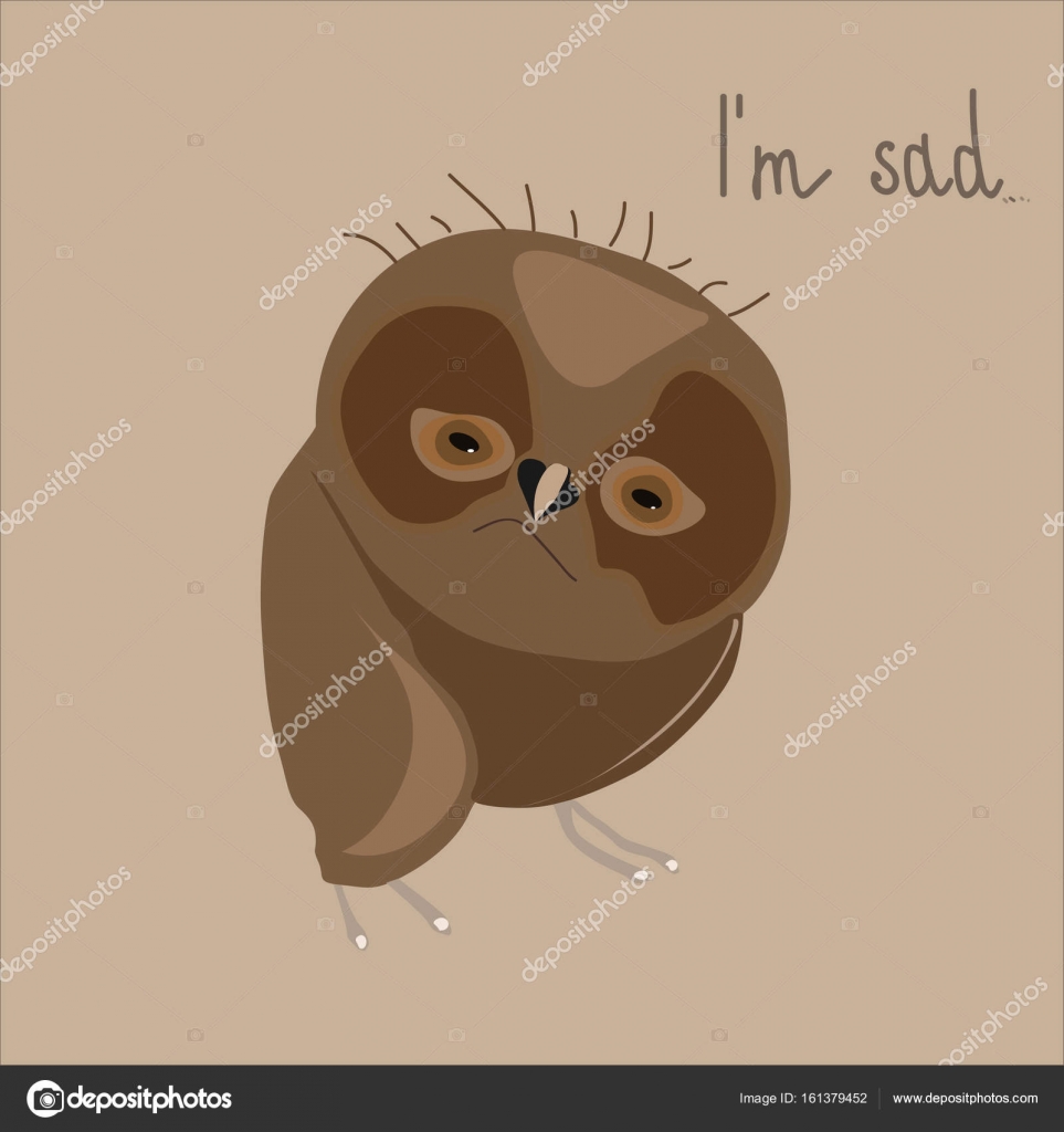 Sad Owl Drawing