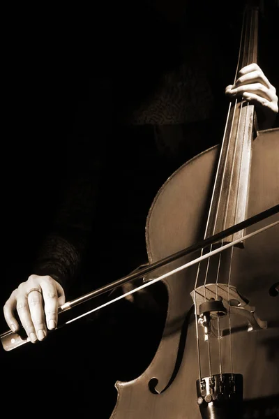 Cello Wallpaper Iphone