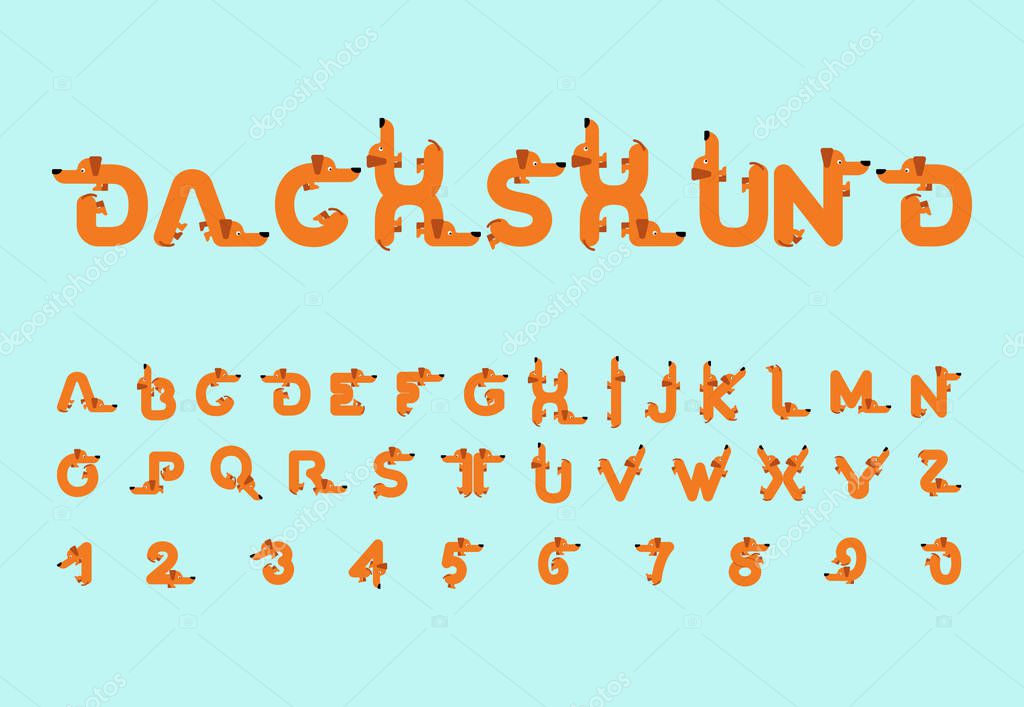 Fuente Dachshund. Alfabeto de perro. Cartas de animales domésticos. ABC ...