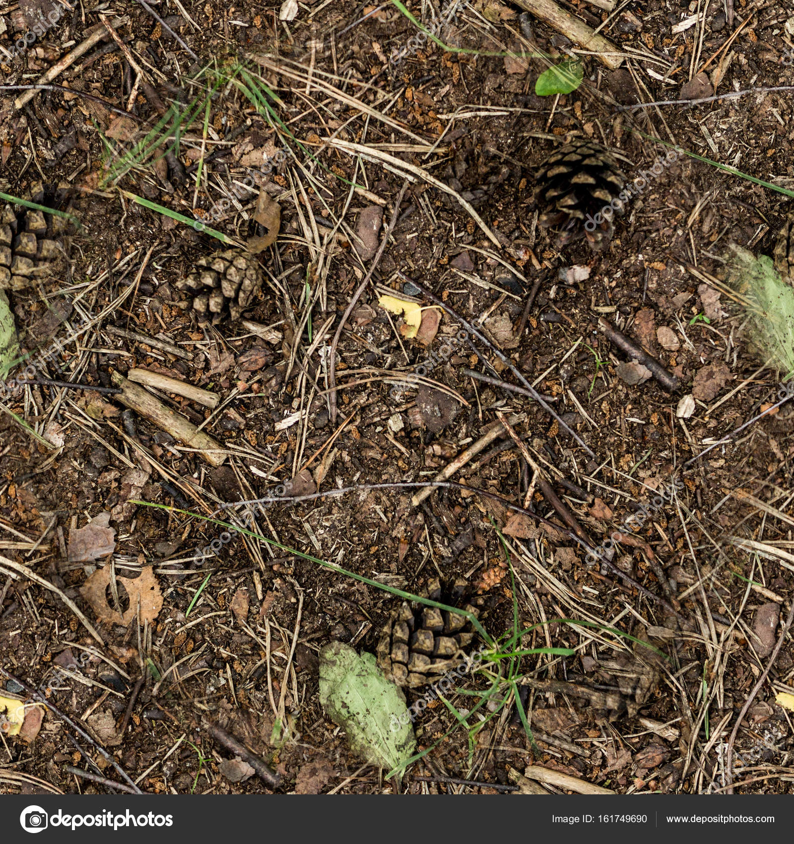 Forest Floor Texture Seamless | Floor Roma