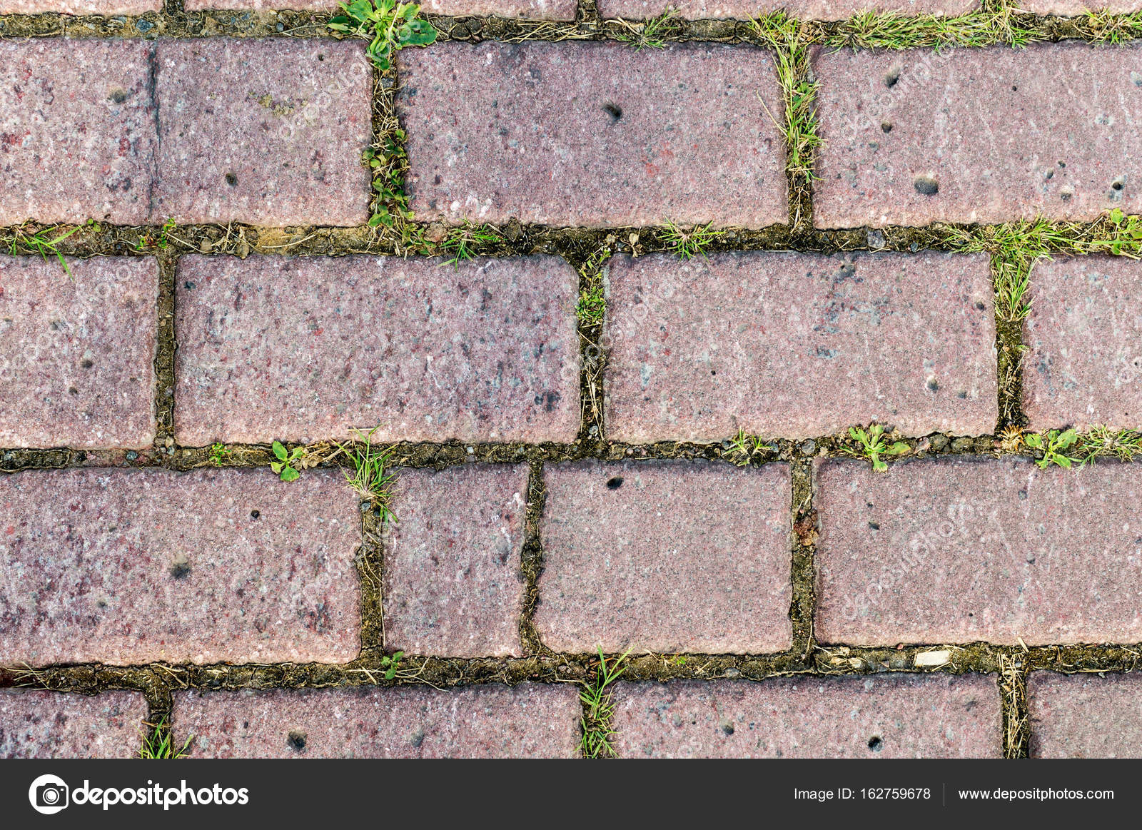 Sidewalk Brick Texture