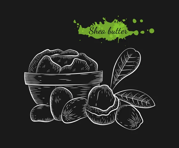 Shea butter Stock Vectors, Royalty Free Shea butter Illustrations ...