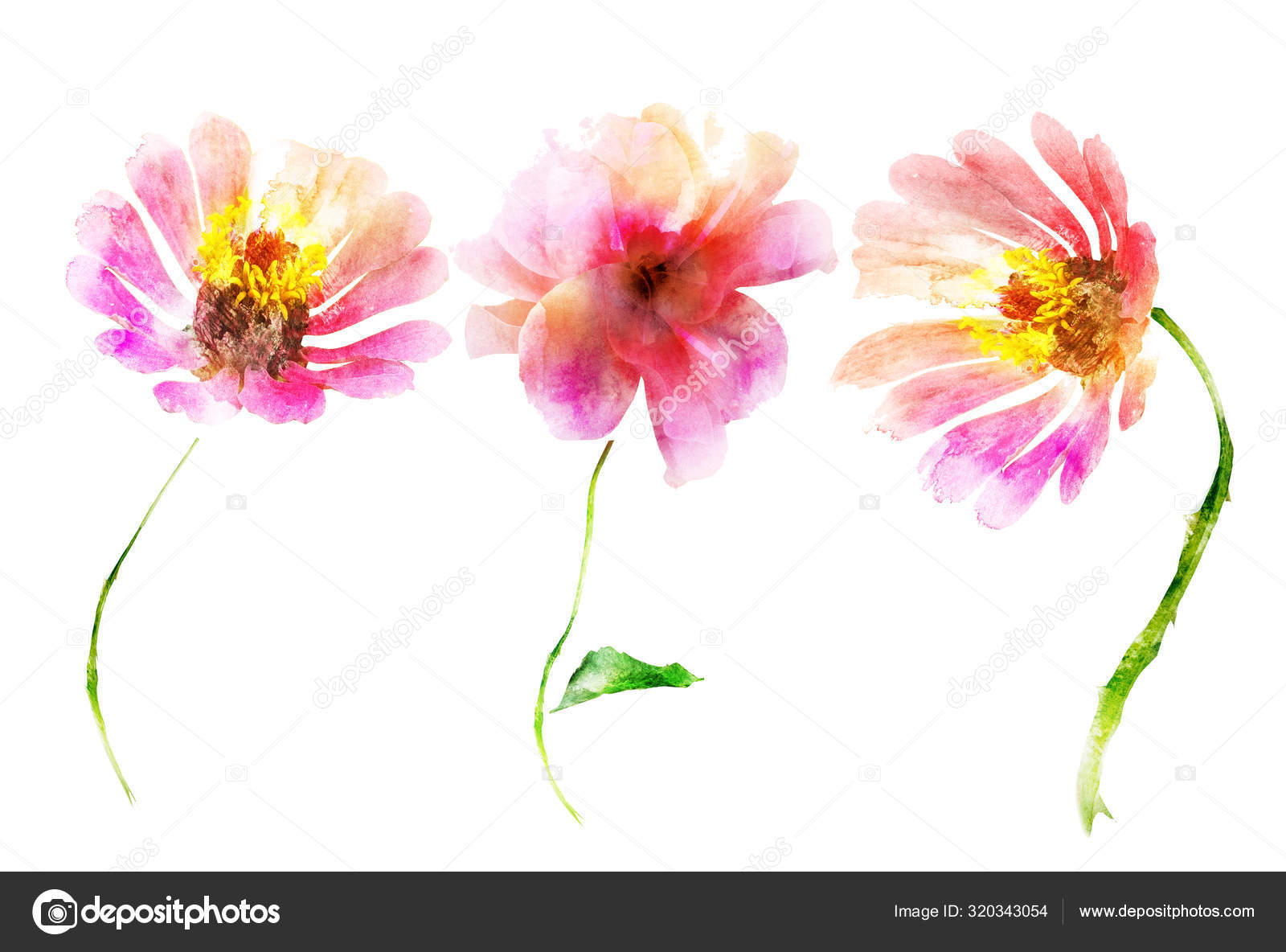 Watercolor flowers , isolated on white background Stock Photo by ©sun ...