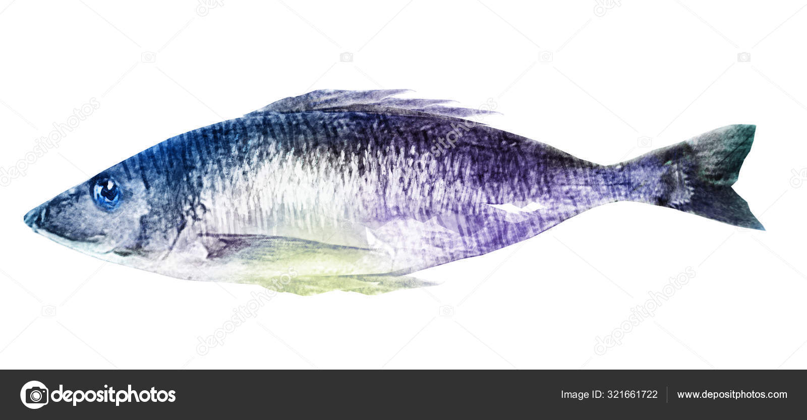 Watercolor Fish White — Stock Photo © sun_tiger #321661722