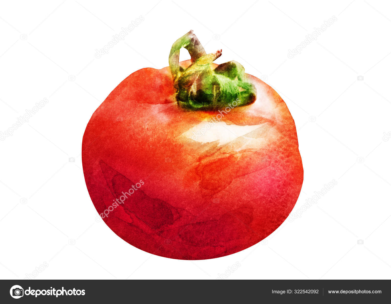 Tomato Drawing White Background Stock Illustration by ©sun_tiger #322542092