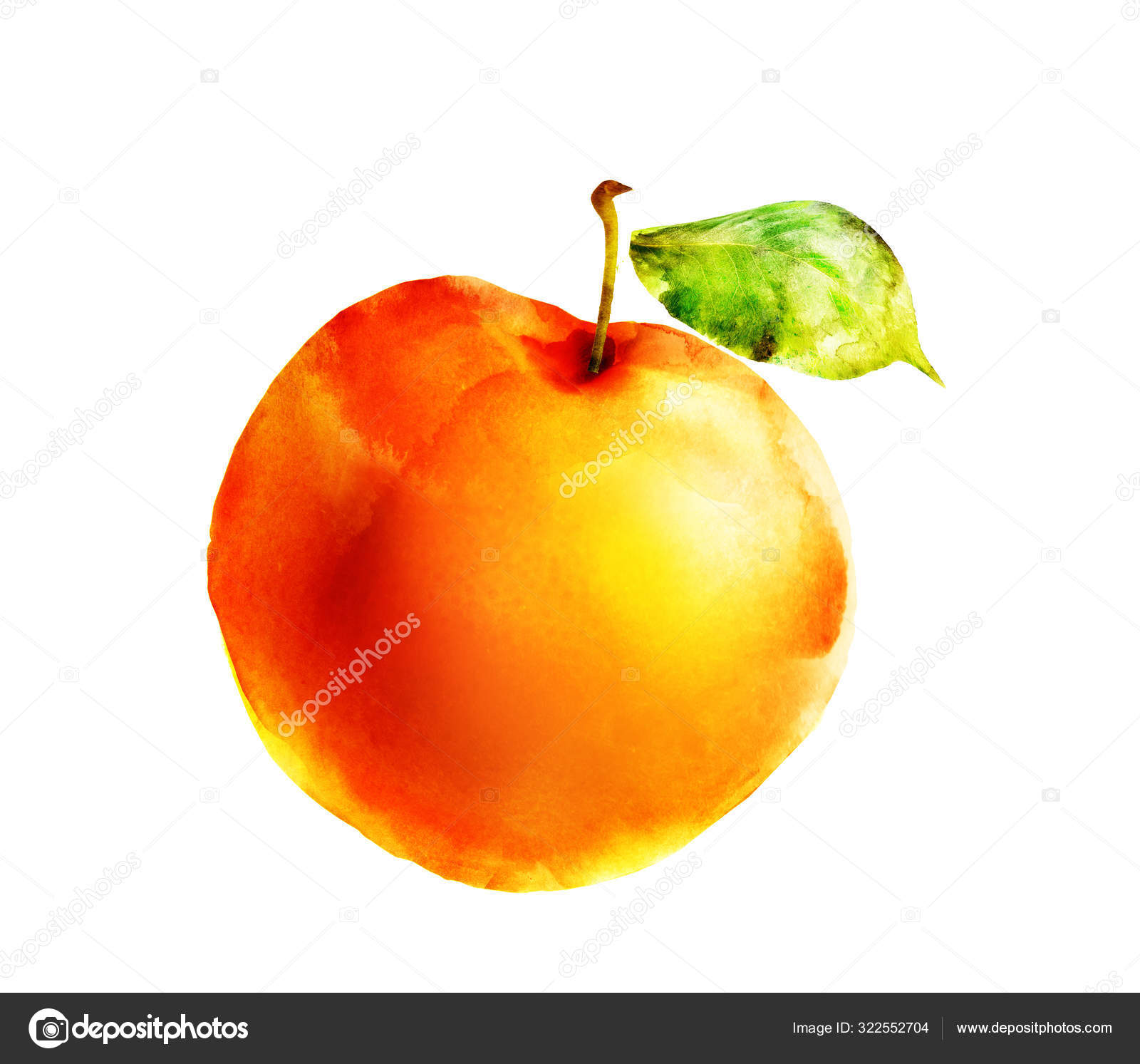 Watercolor apricot on white Stock Illustration by ©sun_tiger #322552704