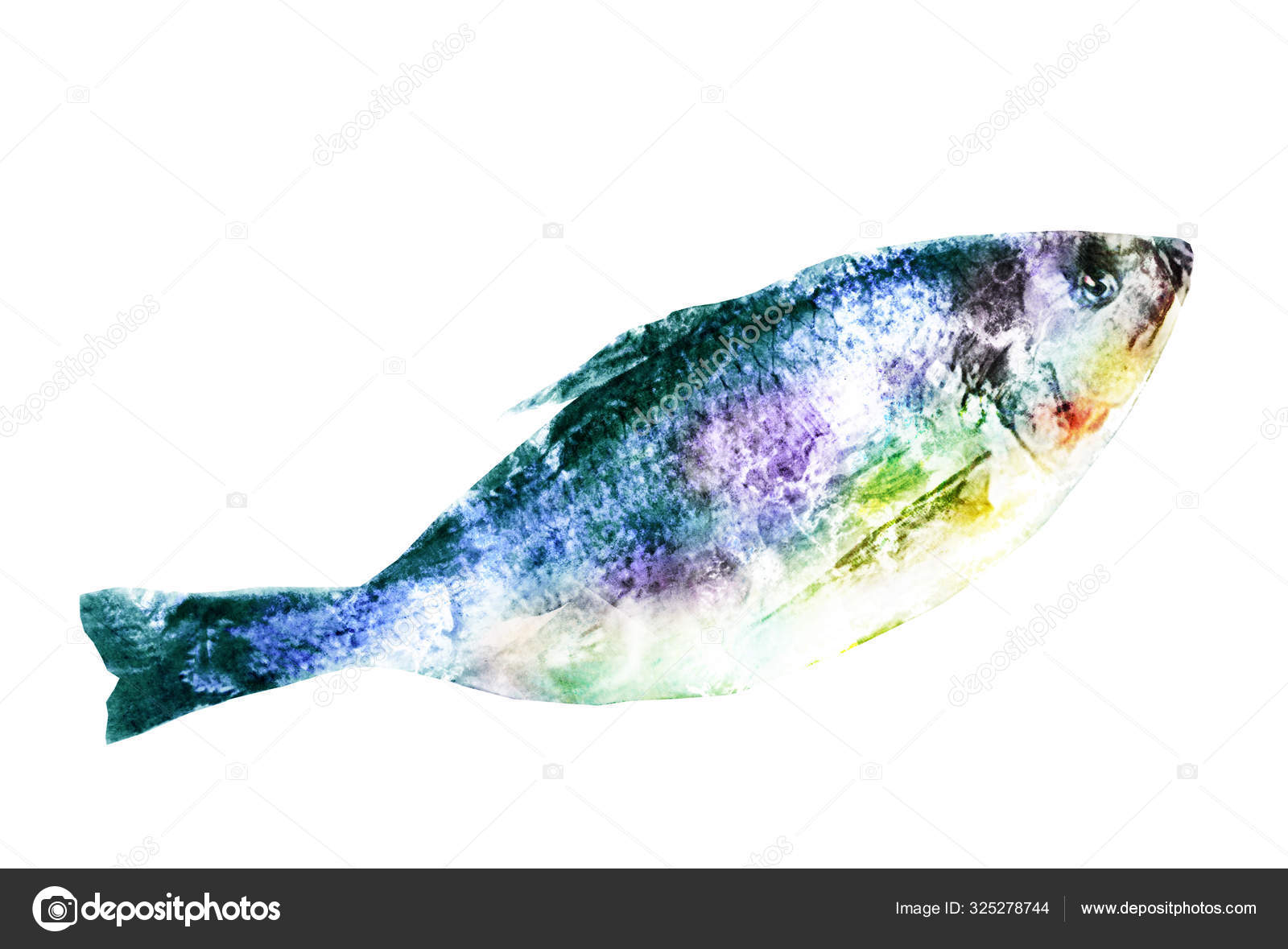Watercolor Fish White Stock Photo by ©sun_tiger 325278744
