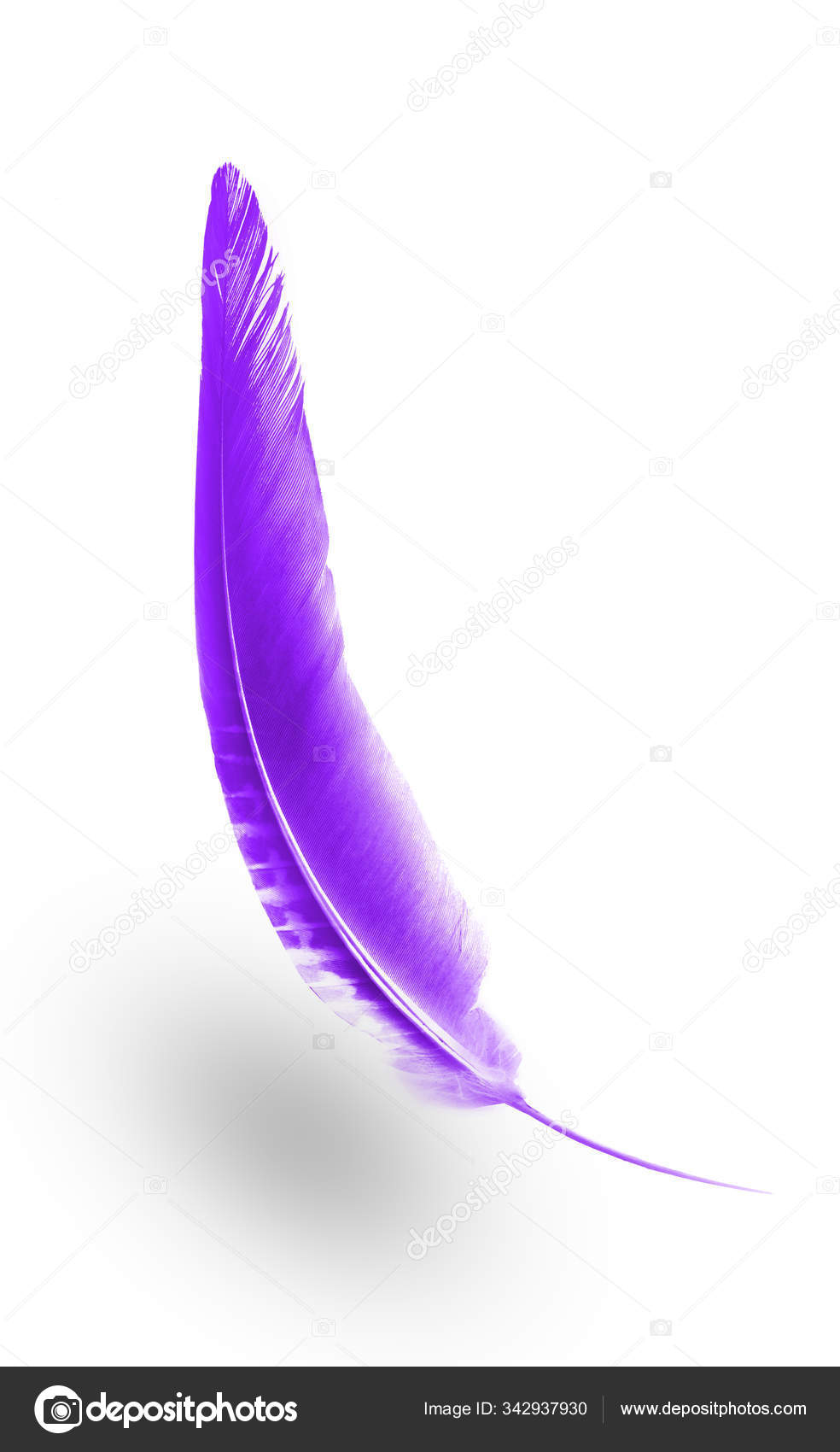 Beautiful color feather isolated on white background — Stock Photo ...