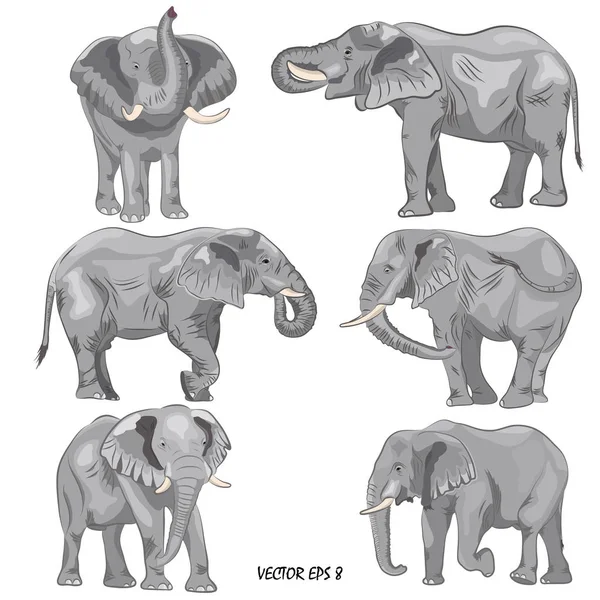 Elephant realistic Vector Art Stock Images | Depositphotos