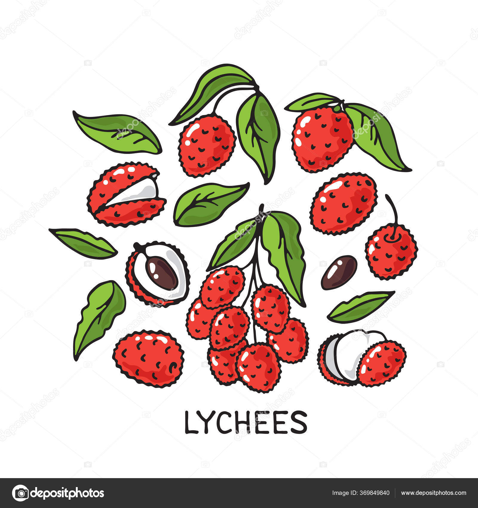 Doodle Lychees Isolated White Background Vector Illustration Design ...