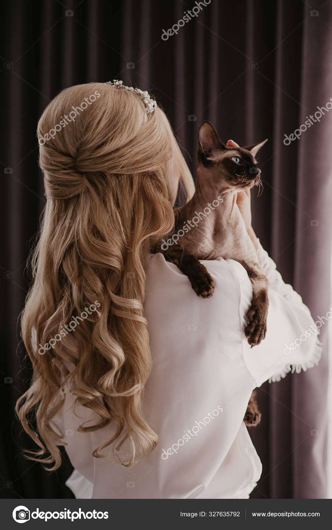 Beautiful Bride With Her Siam Sphynx Cat In Her Hands Blue Eyes Cat