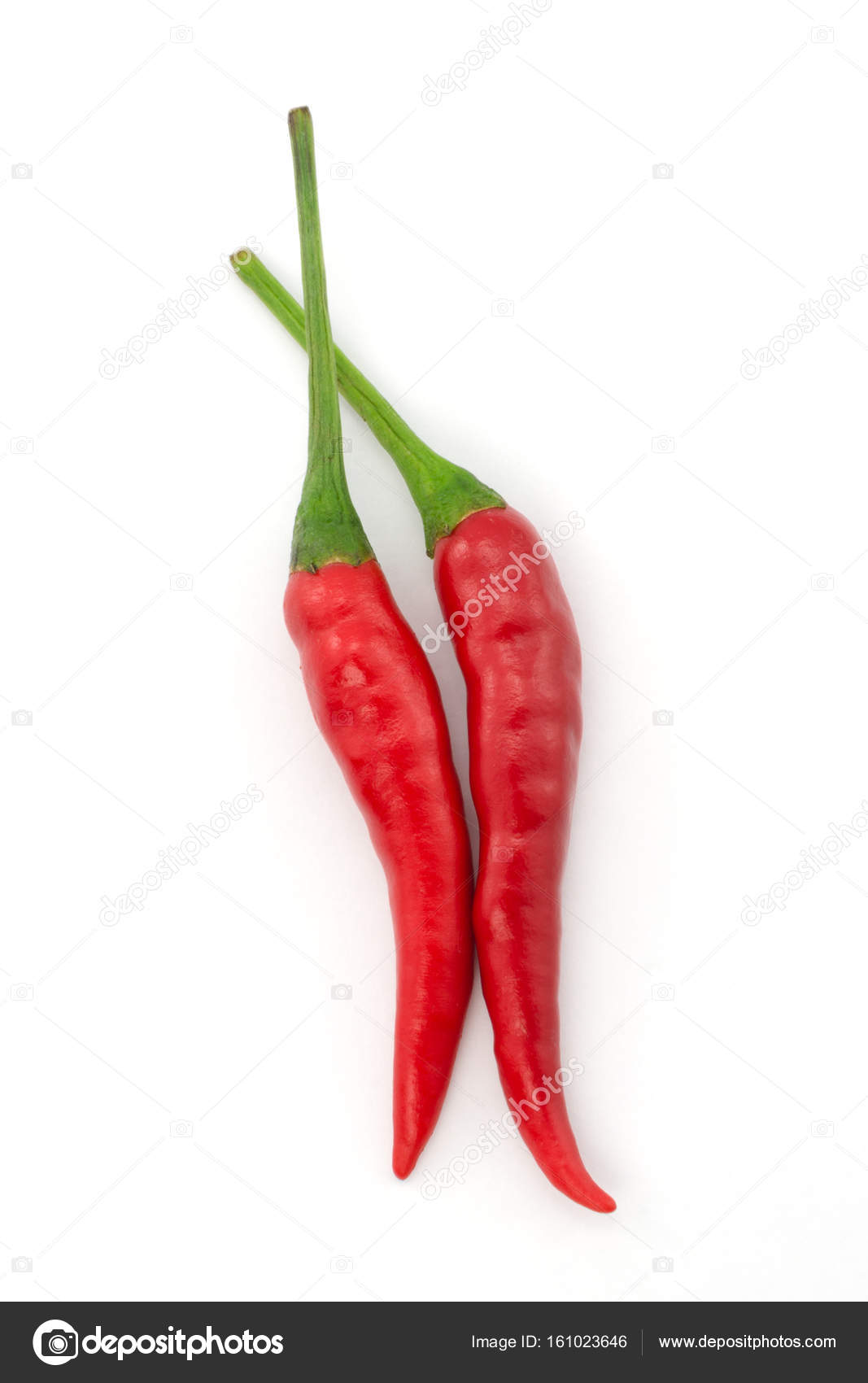 Hot chili pepper or small chili padi isolated on white backgroun ...