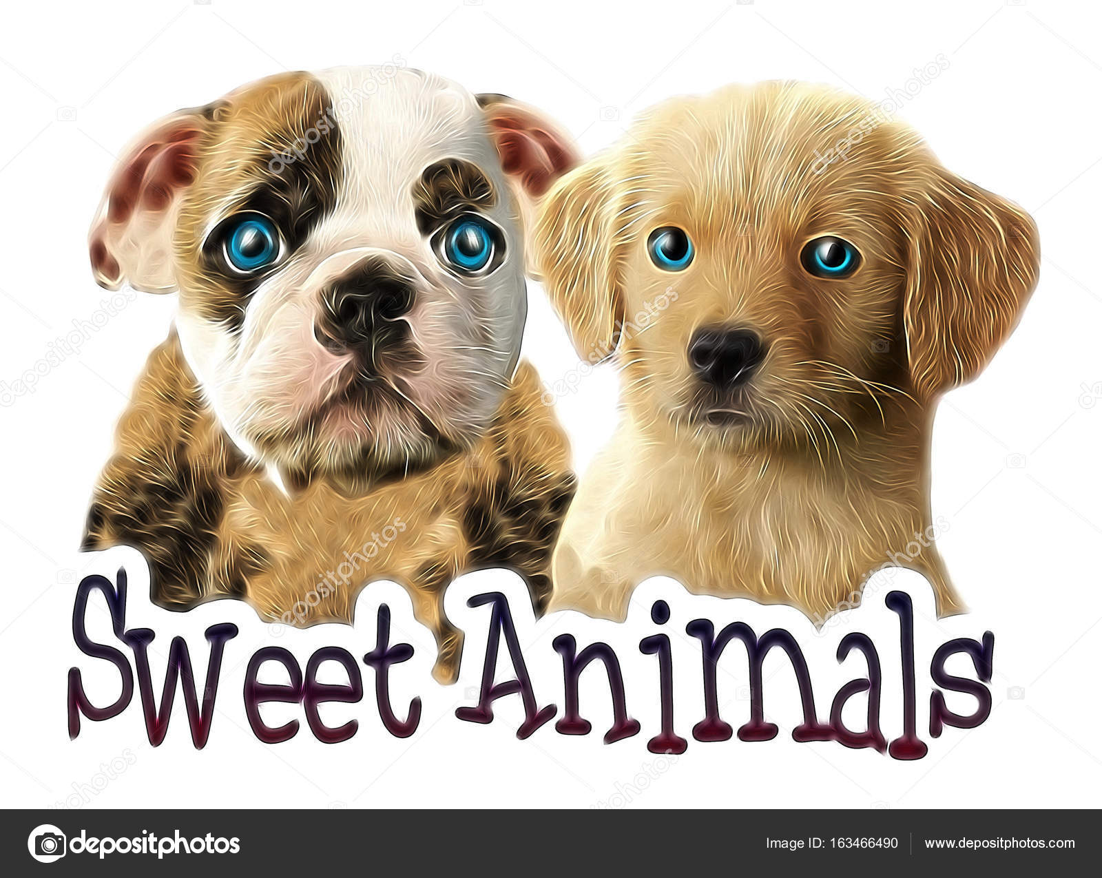 Two cute puppies Stock Photo by ©StudioLondon 163466490