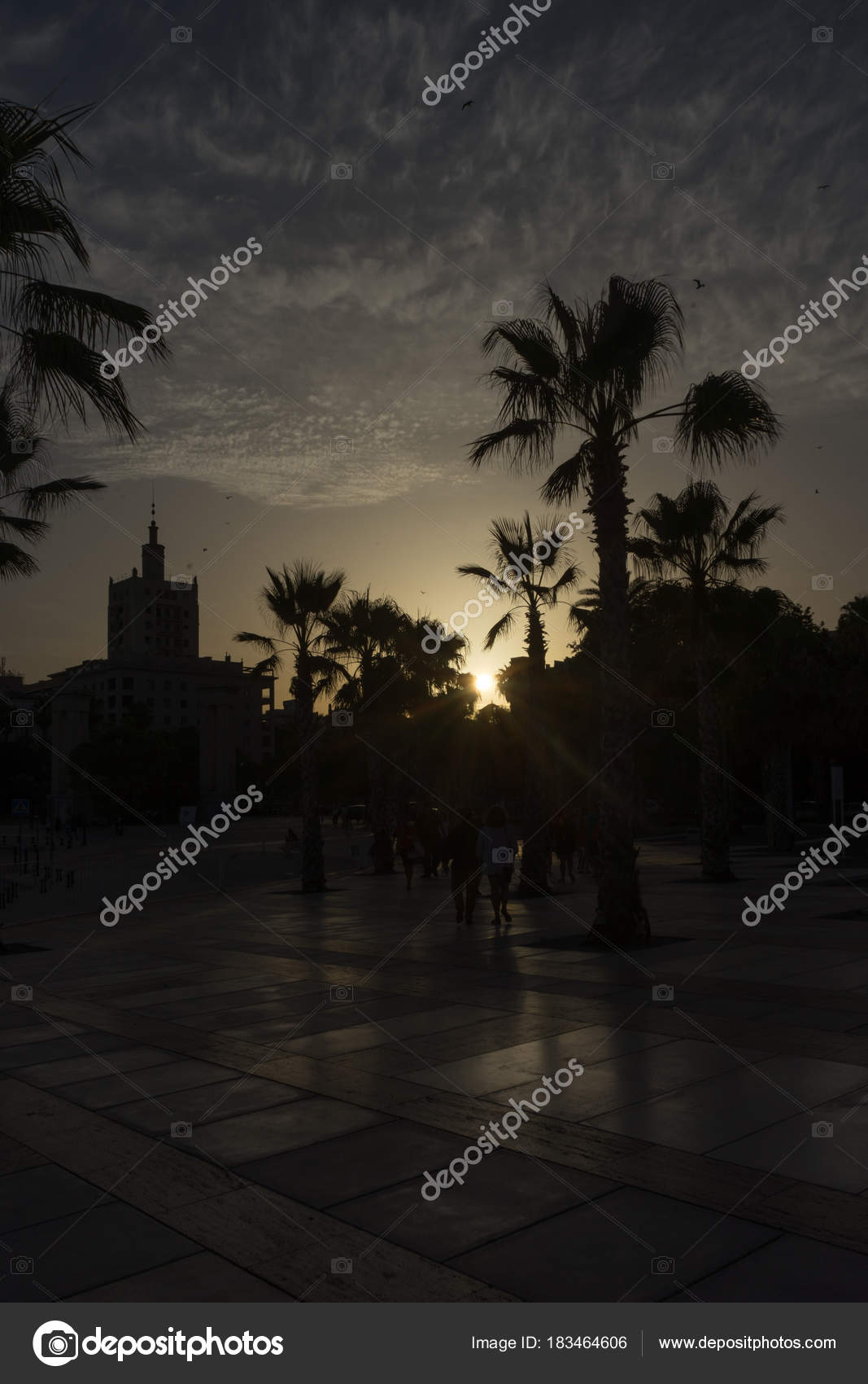 Golden sun sets behind a palm grove at Malaga, Spain, Europe — Stock ...
