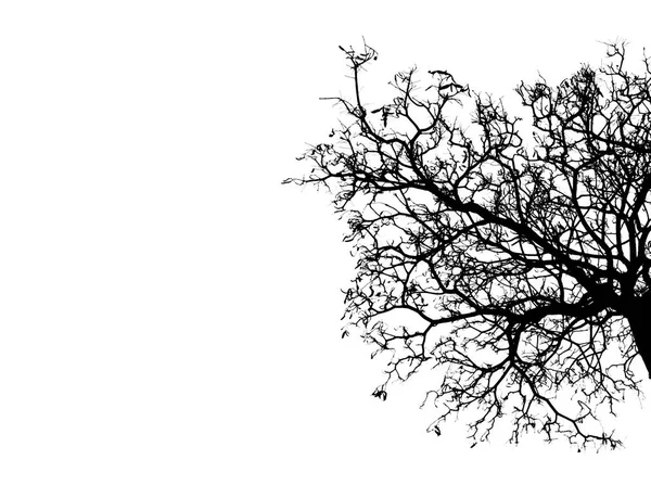 Half tree Stock Photos, Royalty Free Half tree Images | Depositphotos