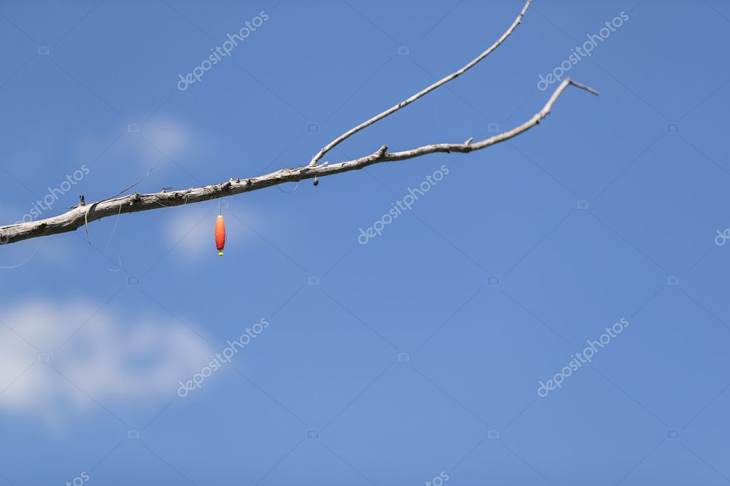Fishing Line In A Tree — Stock Photo © actionsports #126685778