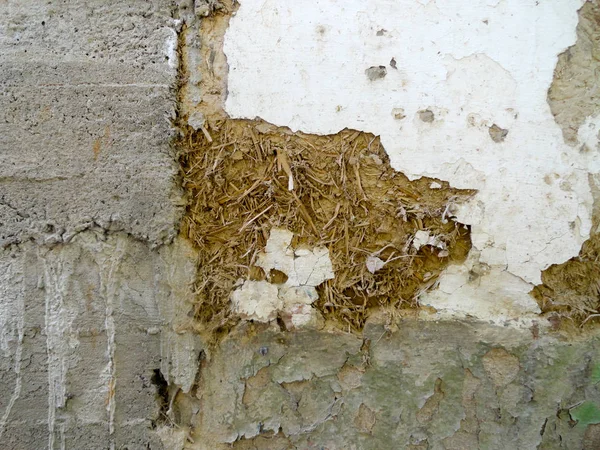 Termite nest Stock Photos, Royalty Free Termite nest Images | Depositphotos