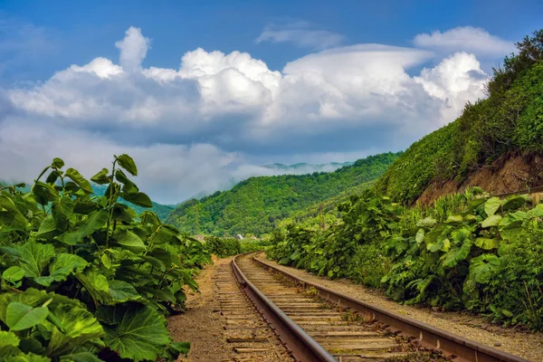 The new railway rail goes along a wide track. – Stock Editorial Photo ...