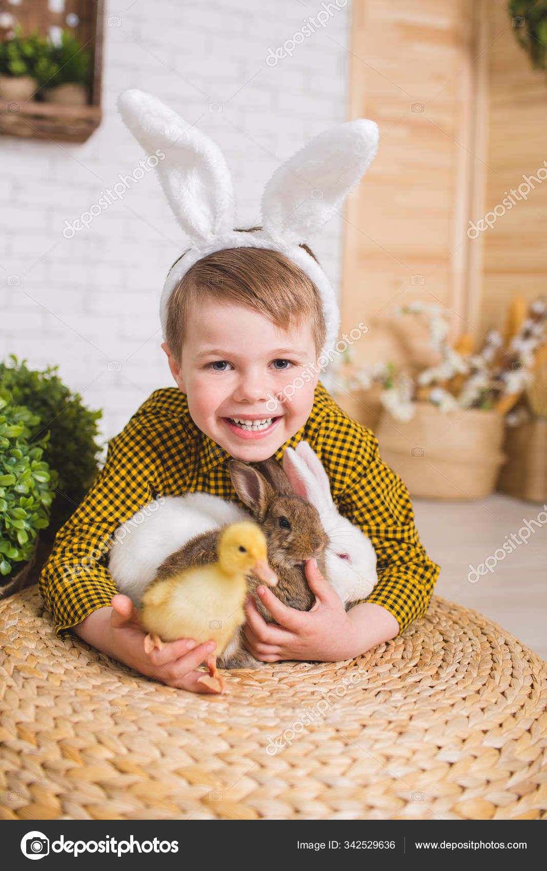 Boy with a rabbit Stock Photo by ©kirill_grekov 342529636