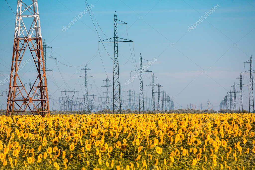 Pilones el ctricos y l neas de alta tensi n en un paisaje agr cola con girasol en Bulgaria. 2024