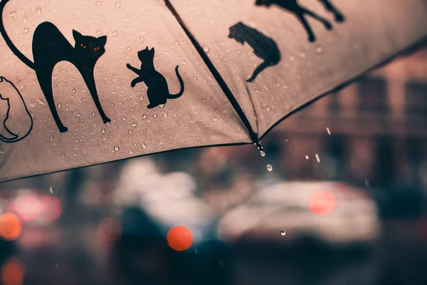 Animaux sous la pluie images libres de droit, photos de Animaux sous la ...