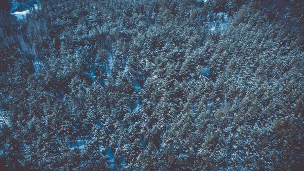 Forest top view Images - Search Images on Everypixel