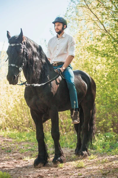 Male model horse Stock Photos, Royalty Free Male model horse Images ...