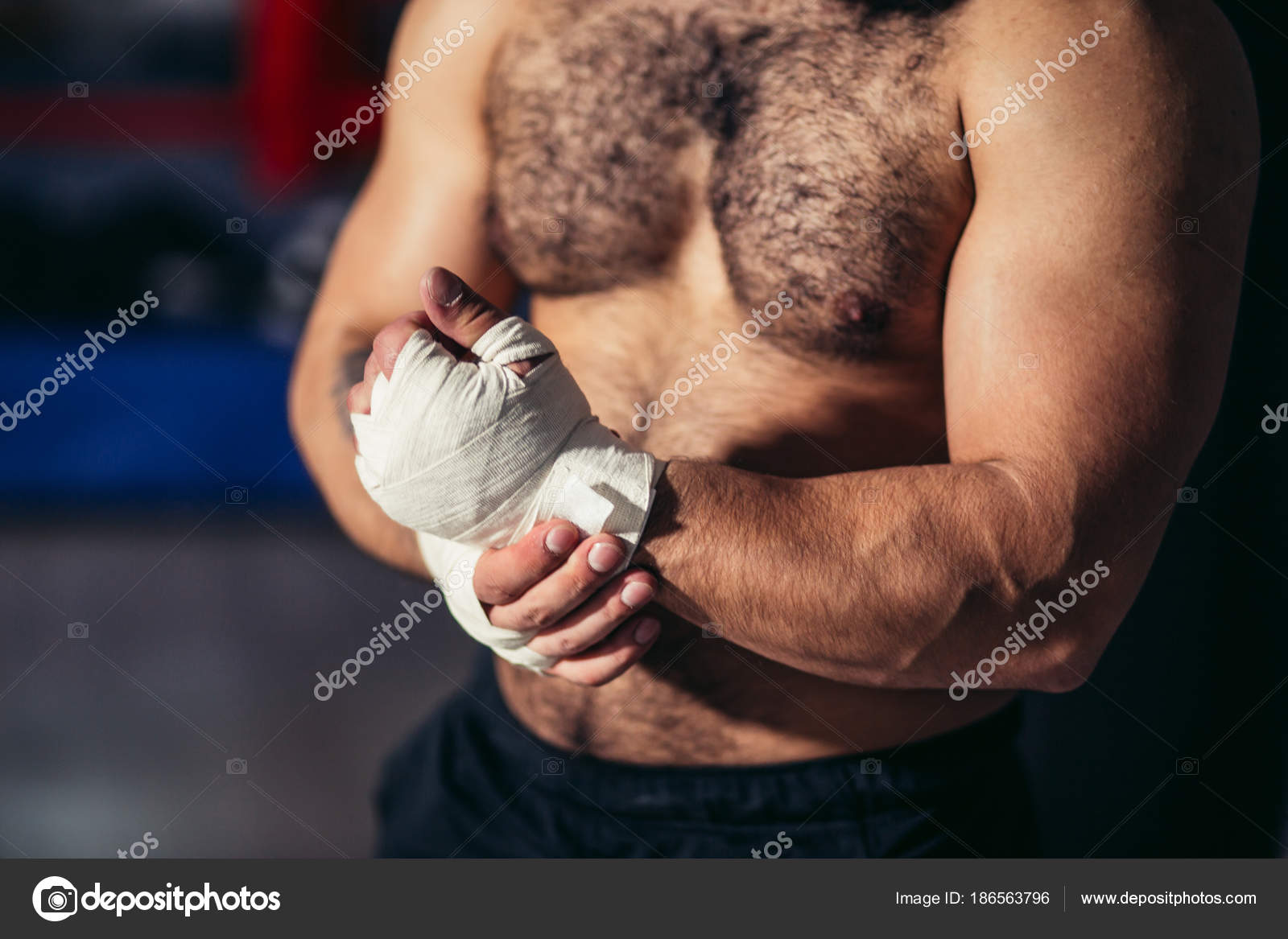 Hand of boxer ready for fight. Concept. Strong arms and clenched fists ...