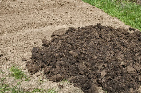 Manure poop Stock Photos, Royalty Free Manure poop Images | Depositphotos